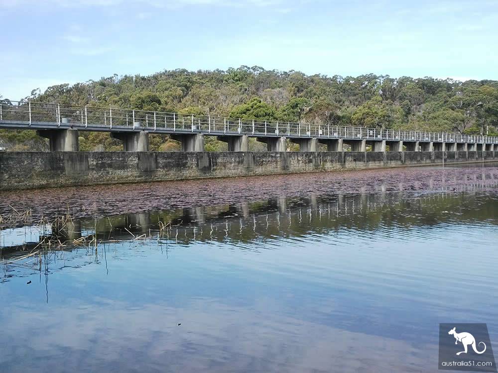 曼利大坝（Manly Dam） - 澳洲无忧网